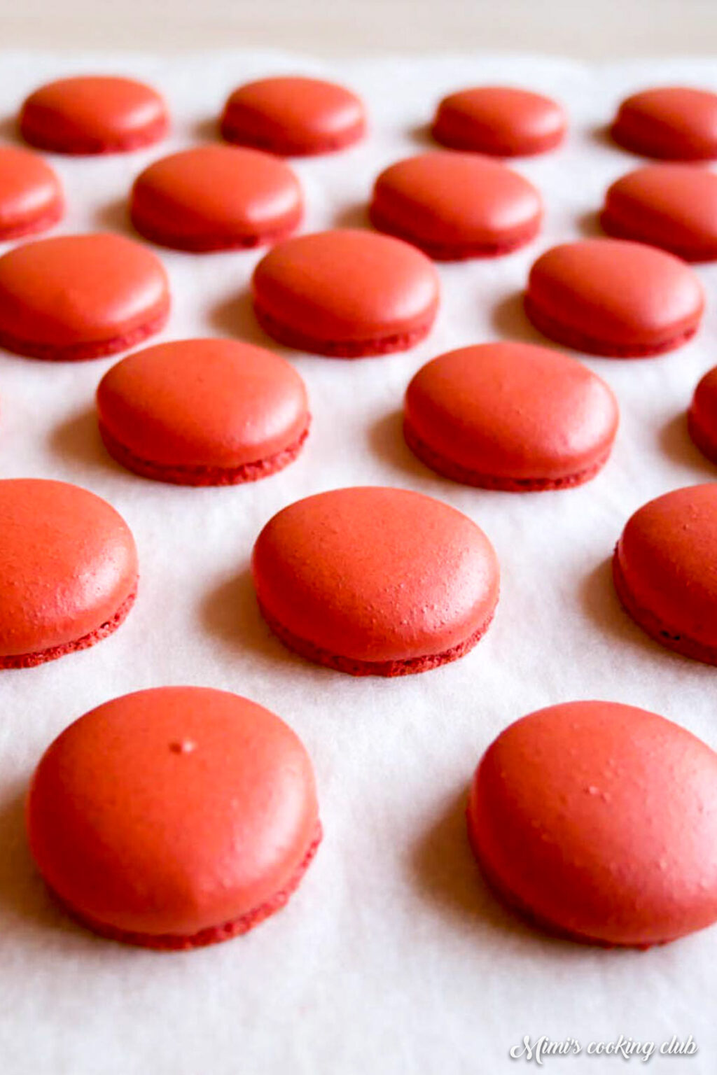 Les macarons inratables - La recette de base - Mimi Pâtisserie